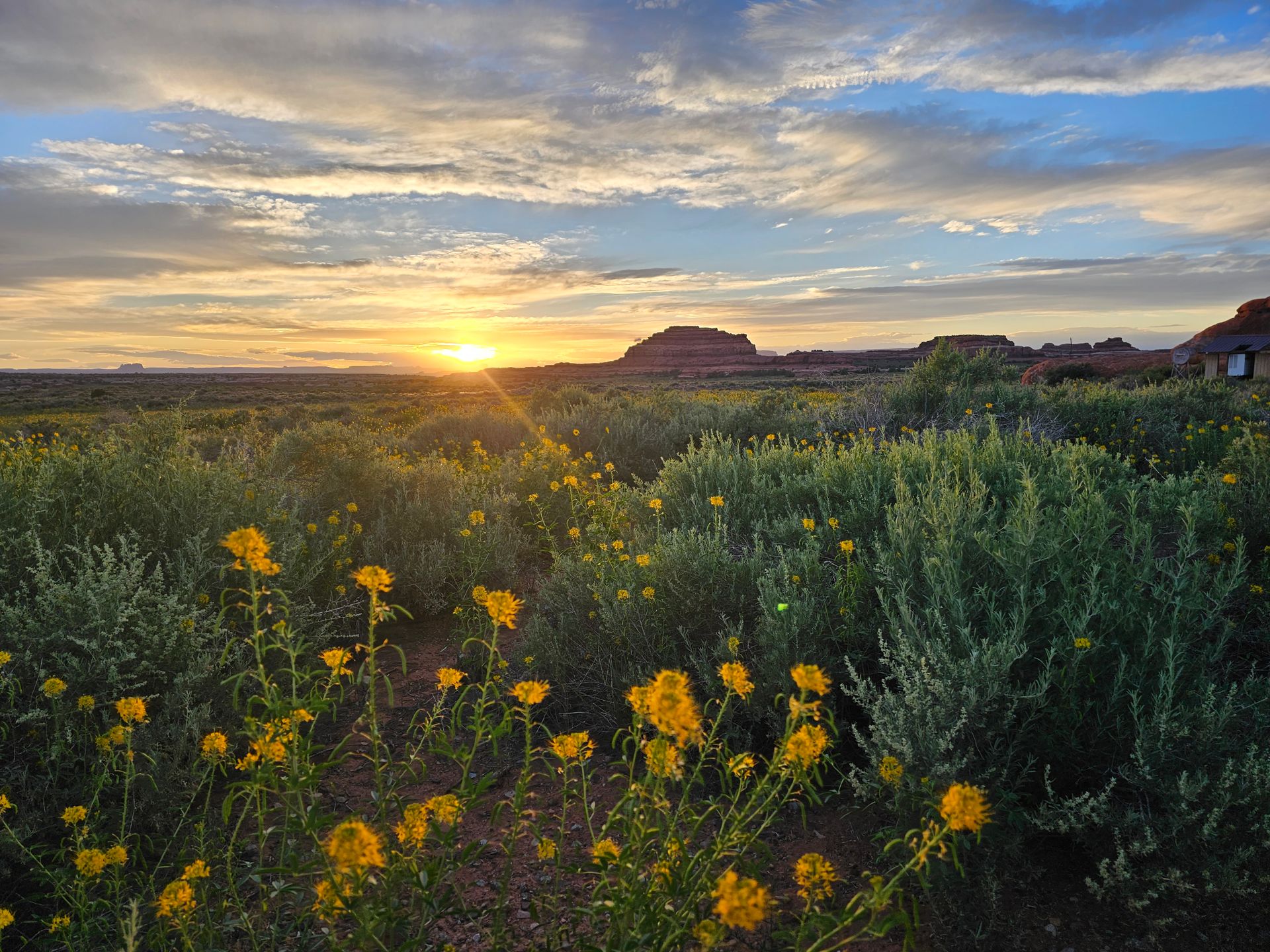 Photo & Video Gallery - Needles Outpost Campground