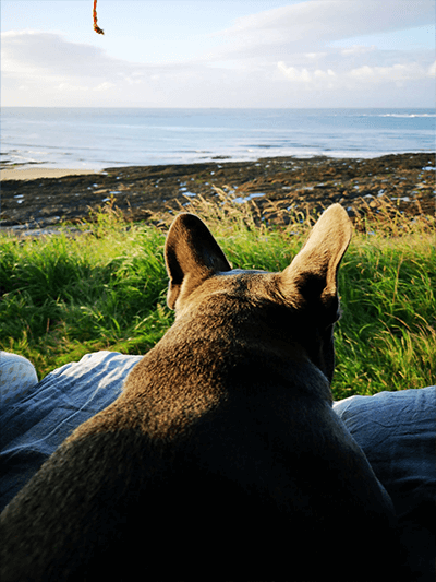 Mumbles, Wales: Things to Do & Complete Guide