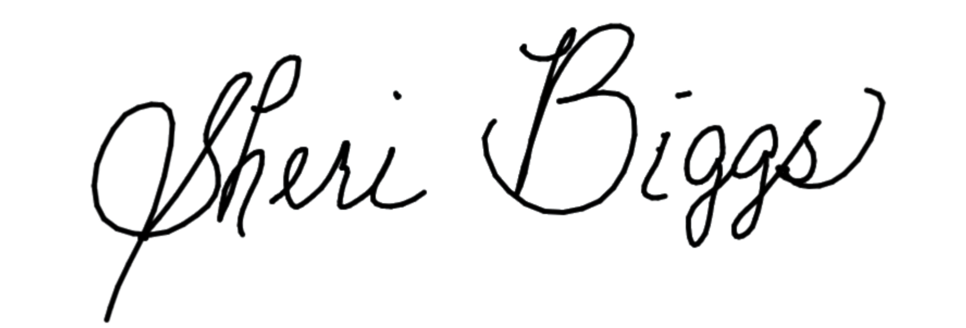 Official Website of Sheri Biggs for Congress