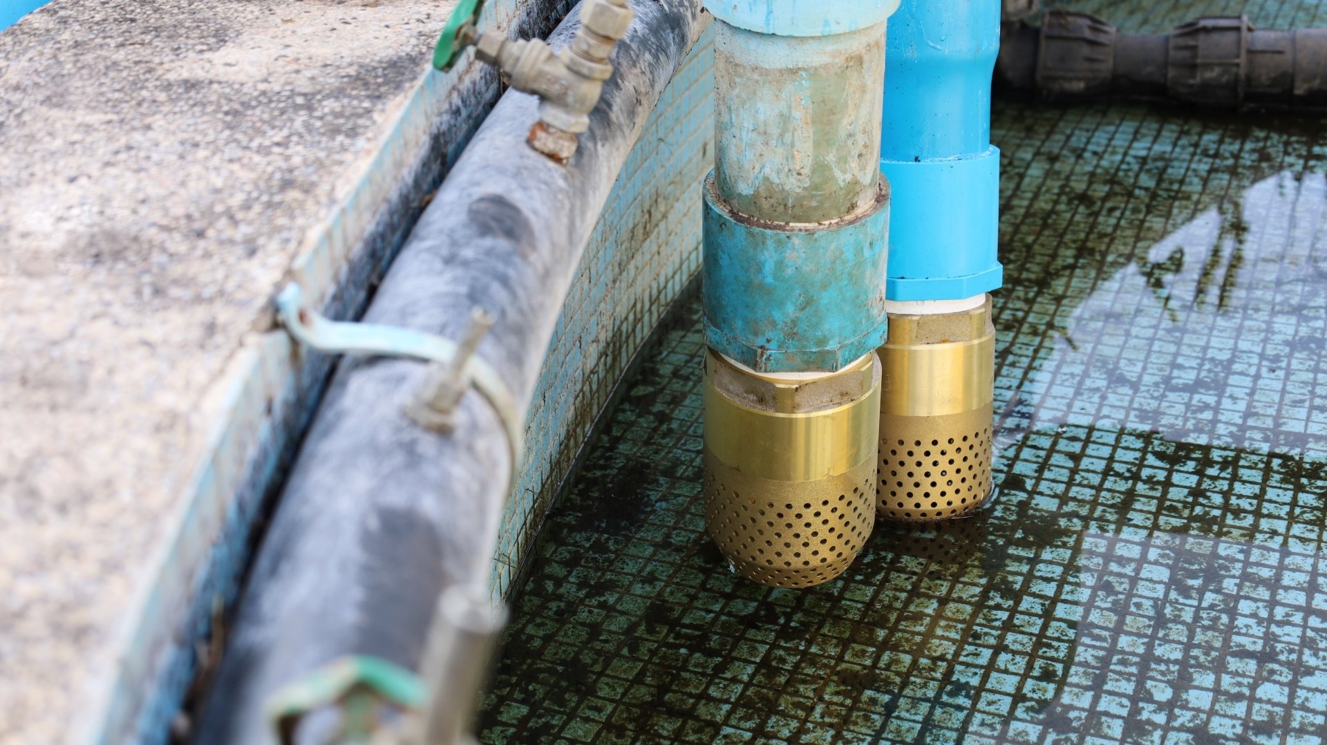 Crépine | Forage Abitibi