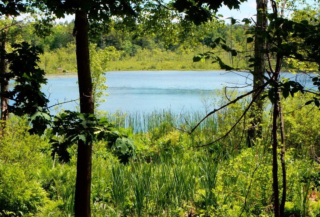 Baddacook Pond | Groton Lakes Association