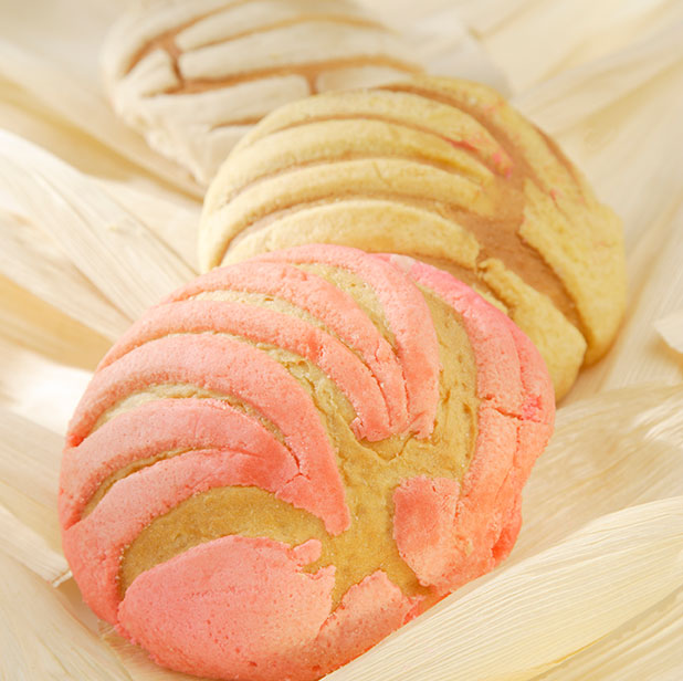 La historia de la concha