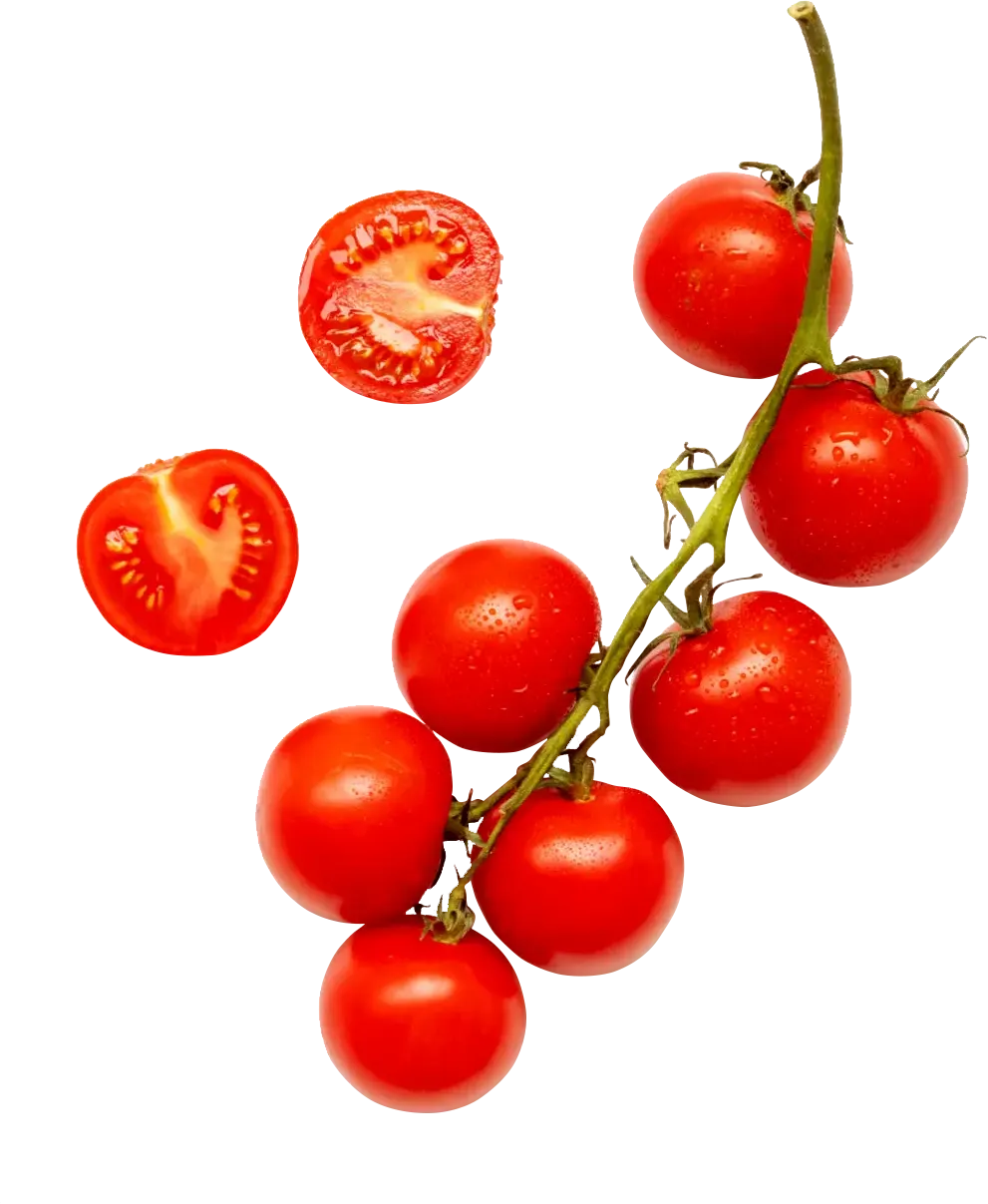 Mr. Wabi: Asian Fusion Restaurant Brisbane | Home