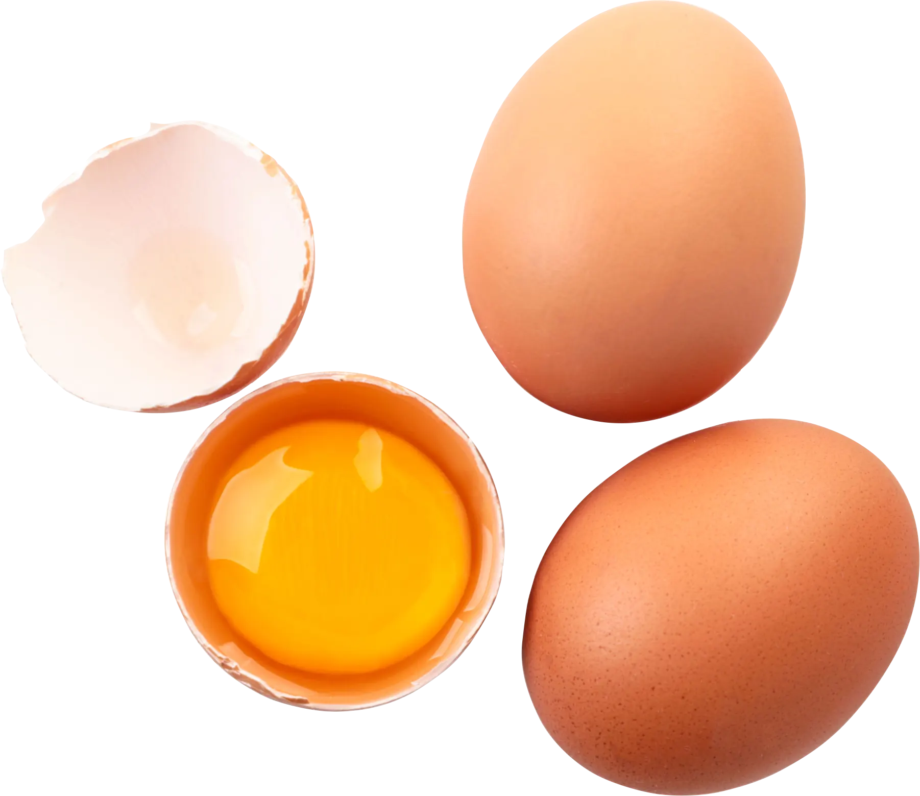 Mr. Wabi: Asian Fusion Restaurant Brisbane | Home