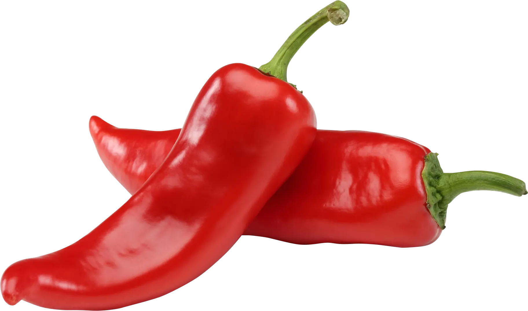 Mr. Wabi: Asian Fusion Restaurant Brisbane | Home