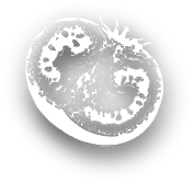 Mr. Wabi: Asian Fusion Restaurant Brisbane | Home