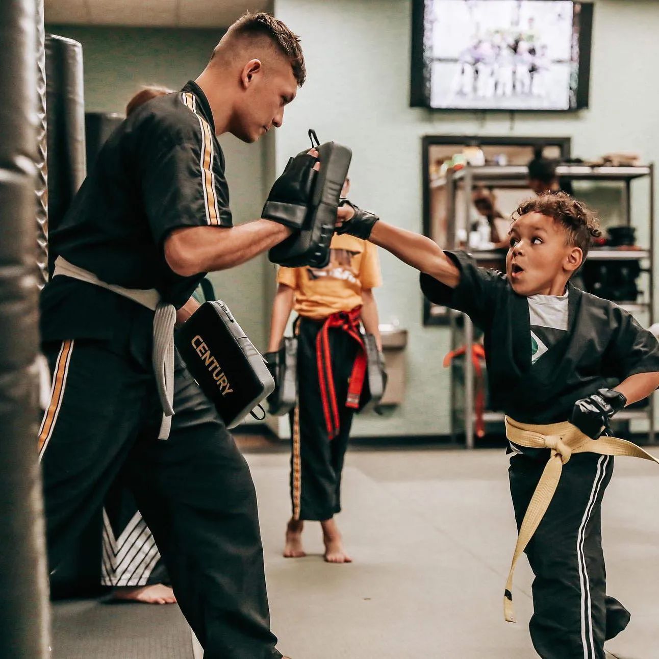 Kids Martial Arts Classes (Ages 5-12) | Hendersonville