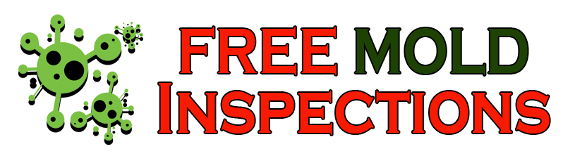 Mold Inspection | Free Mold Inspections