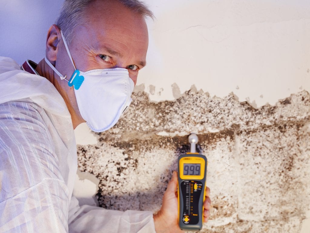 Mold Inspection | Free Mold Inspections