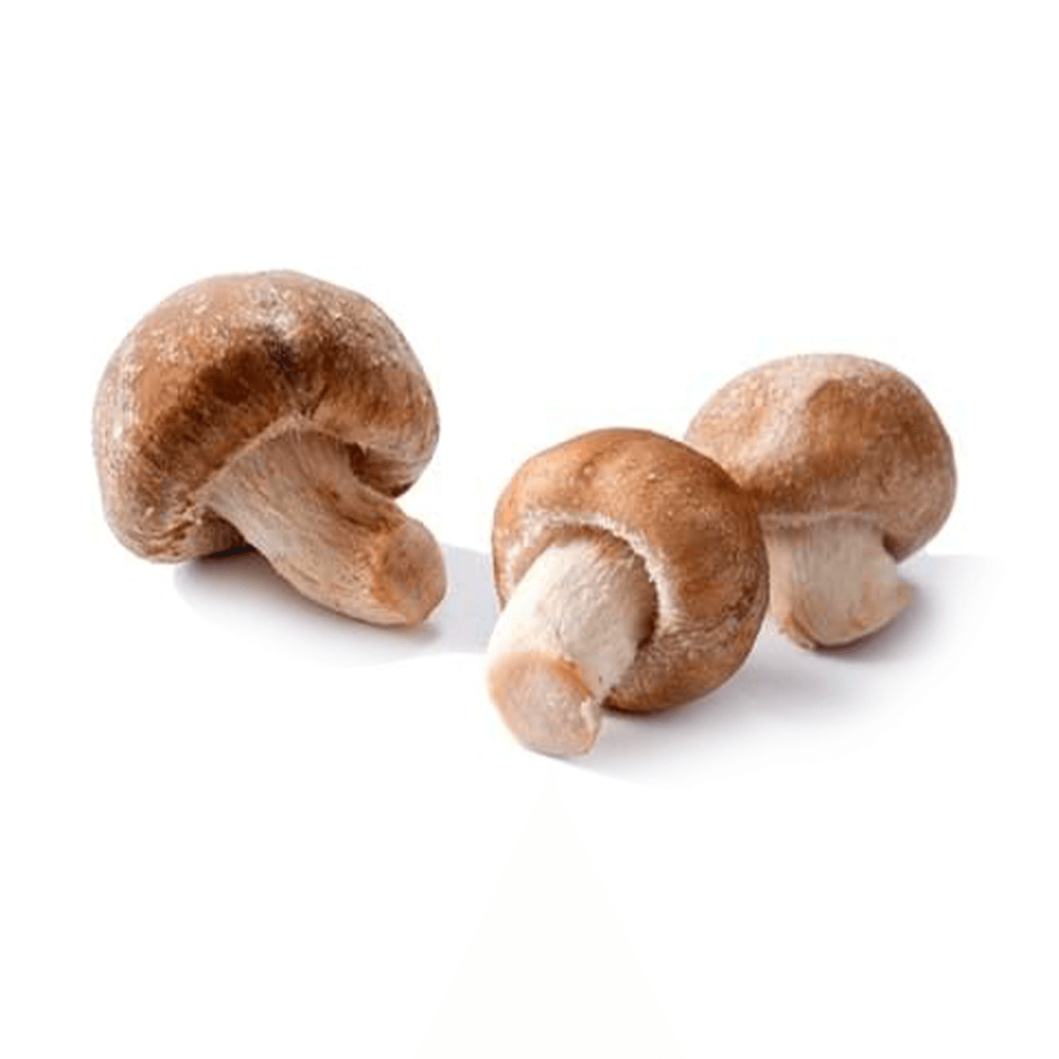 Geteelde Paddenstoelen