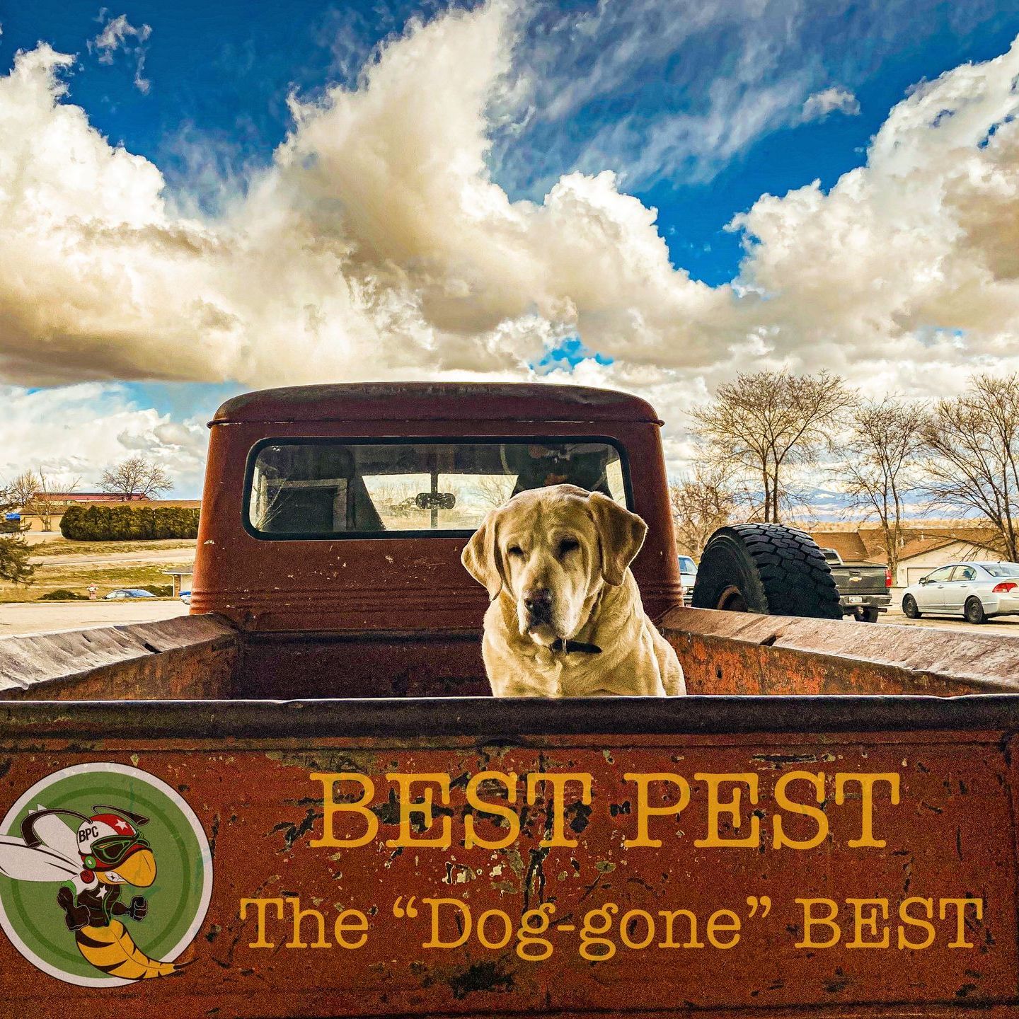 Pest Control Services | Boise, Meridian, ID | Best Pest Control and ...