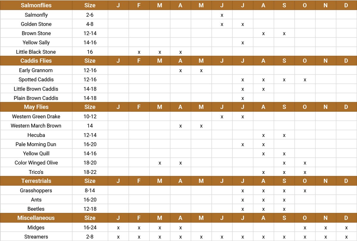 Fly Fishing On The Yellowstone River | Yellowstone River Fishing Trips