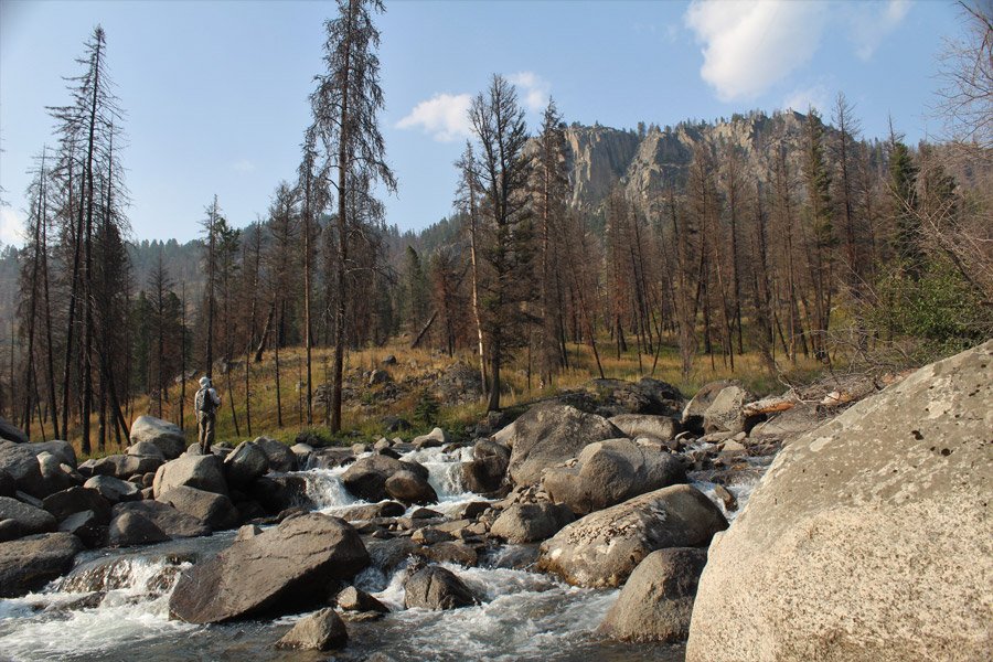 Southwest Montana Fishing Reports | Gallatin River Guides