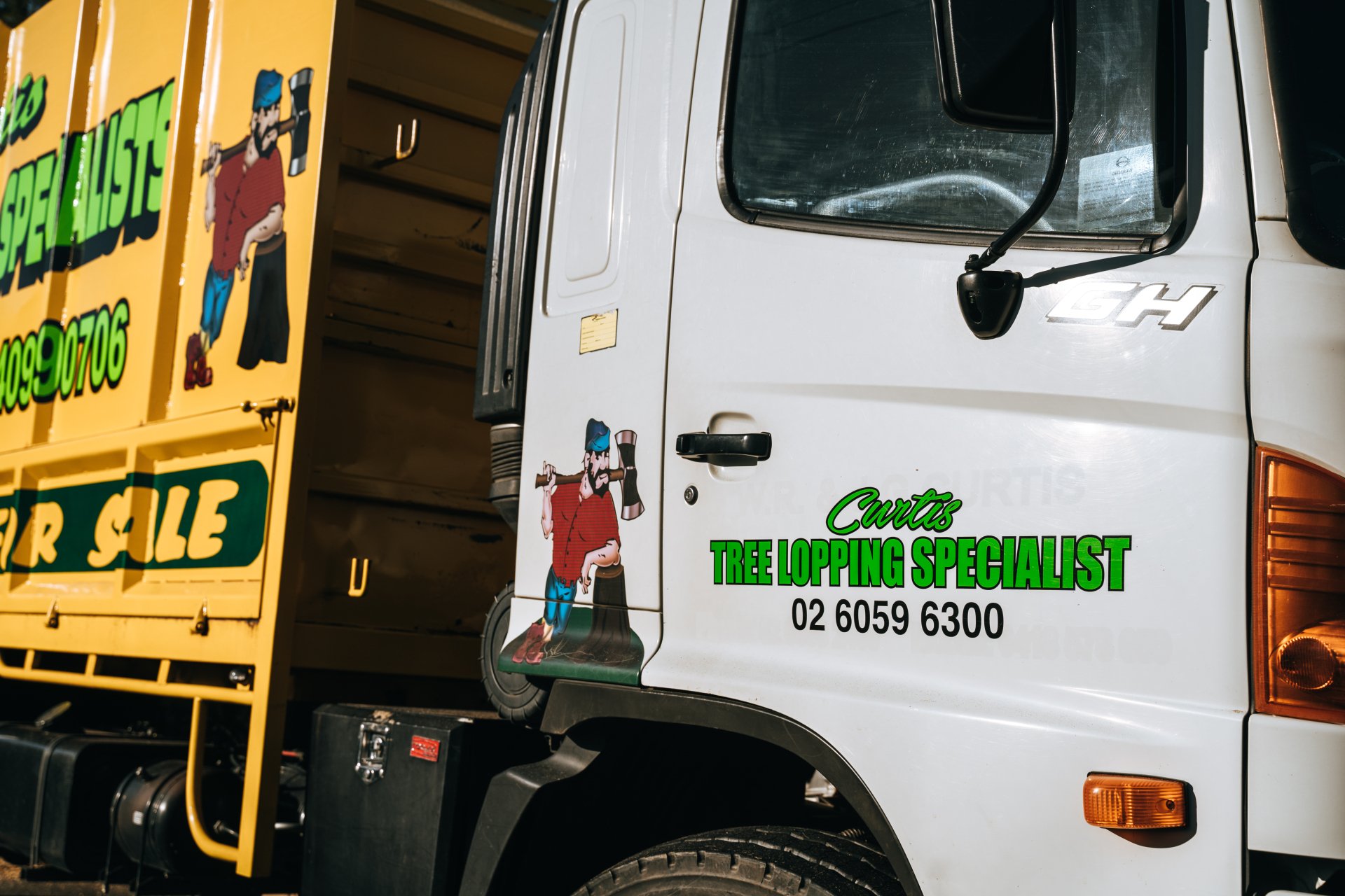 Gallery | Wodonga, VIC | Curtis Tree Lopping Specialists