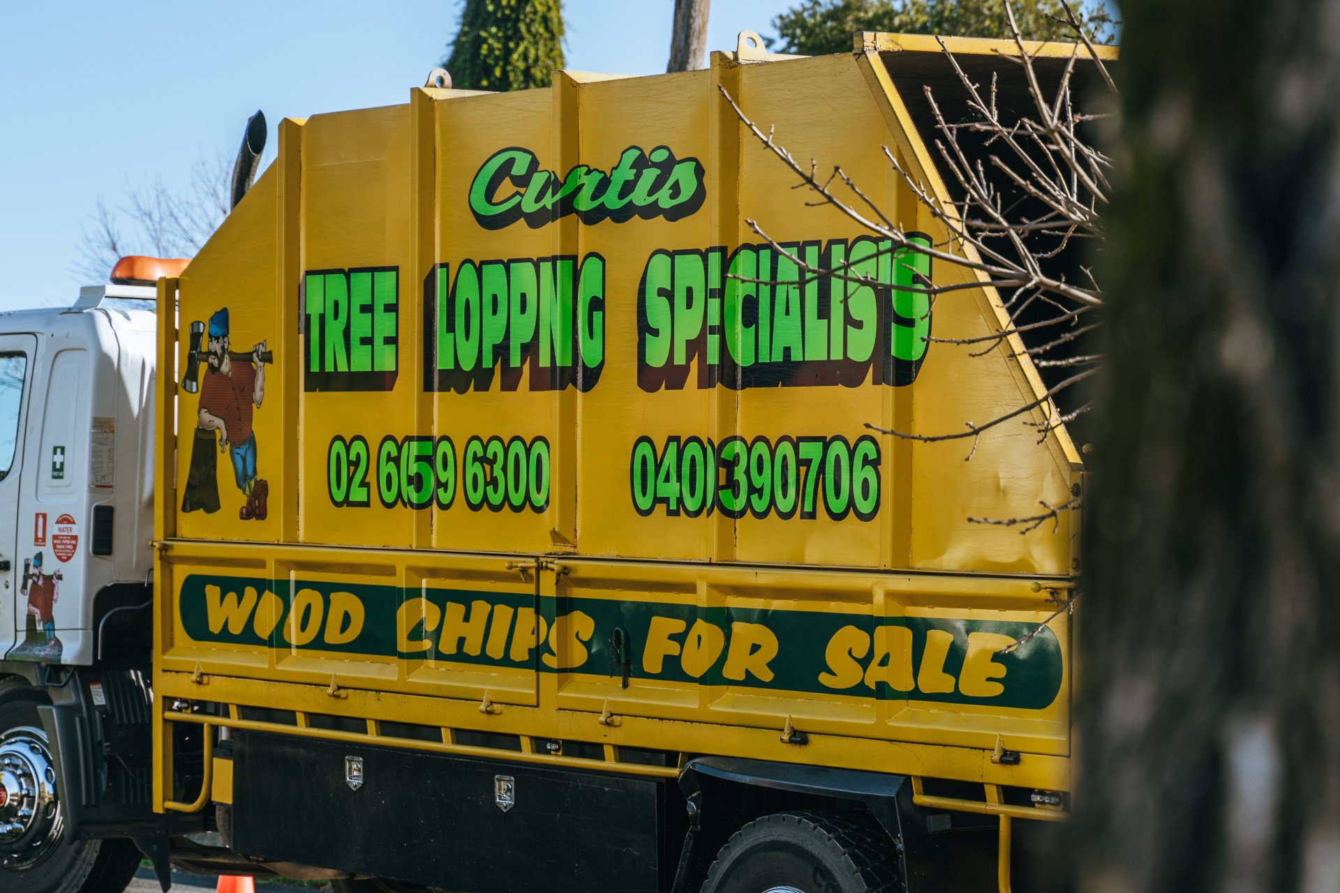 Gallery | Wodonga, VIC | Curtis Tree Lopping Specialists