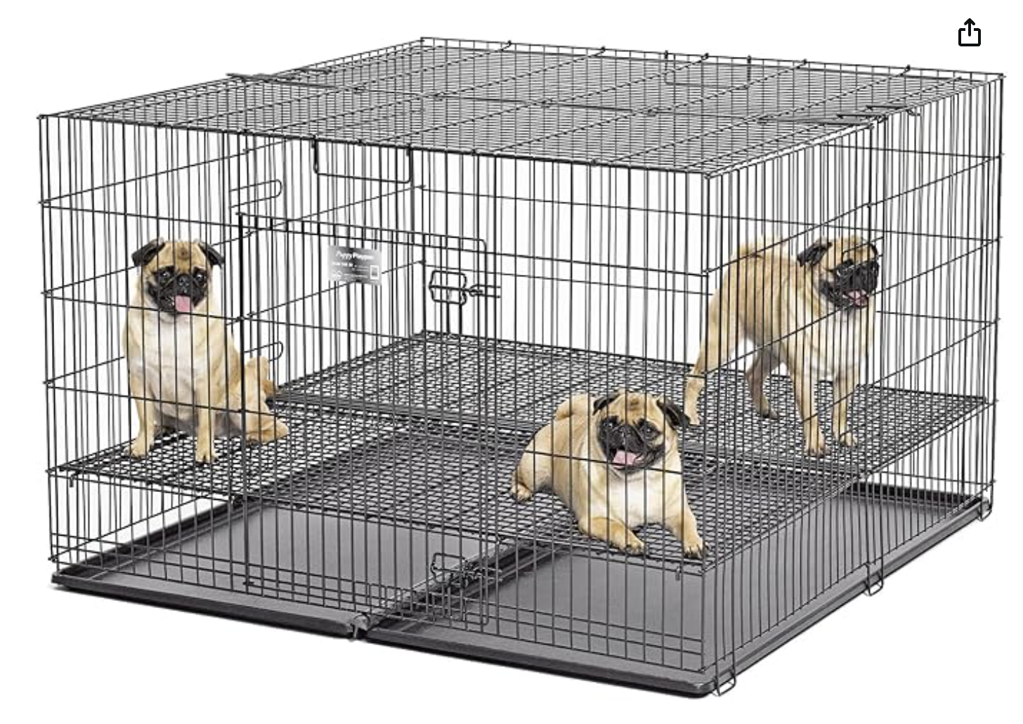 Kimberlee's Kennels