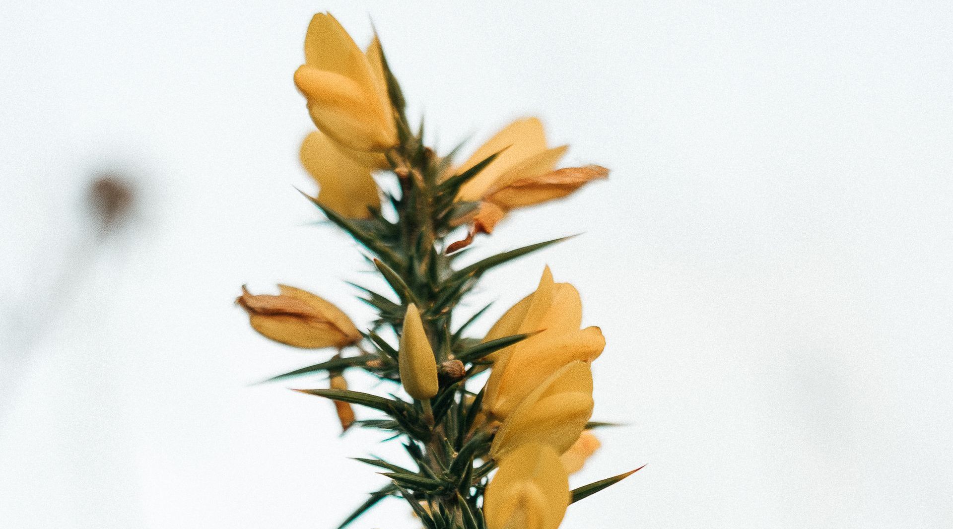 Gormú | Eco-Adventures with Enthralling Storytelling Along the Rugged ...