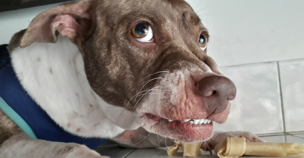 Resource Guarding - All you need to know!