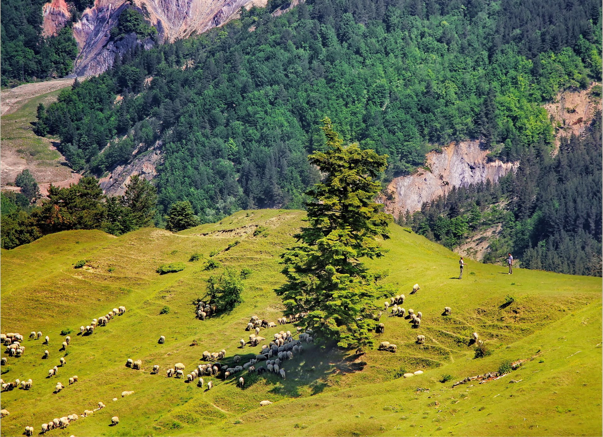 Renaşterea naturii în Bisoca, Buzău