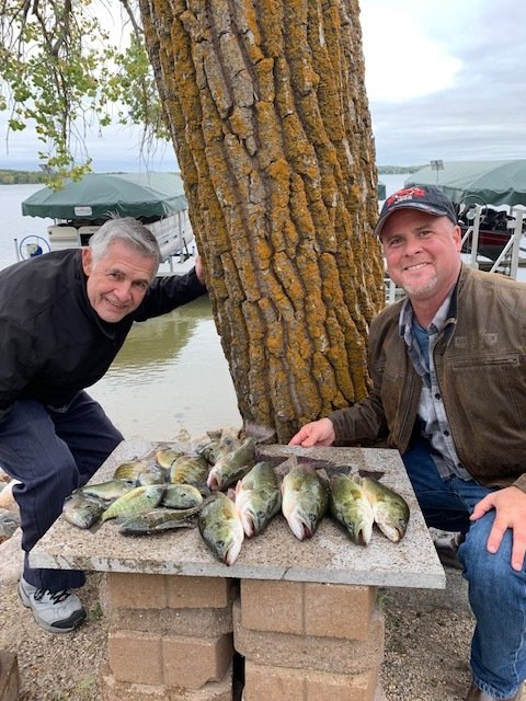 HOME [www.alcsa.org]