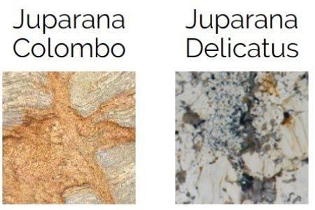 Describing the Types of Grains in Granite
