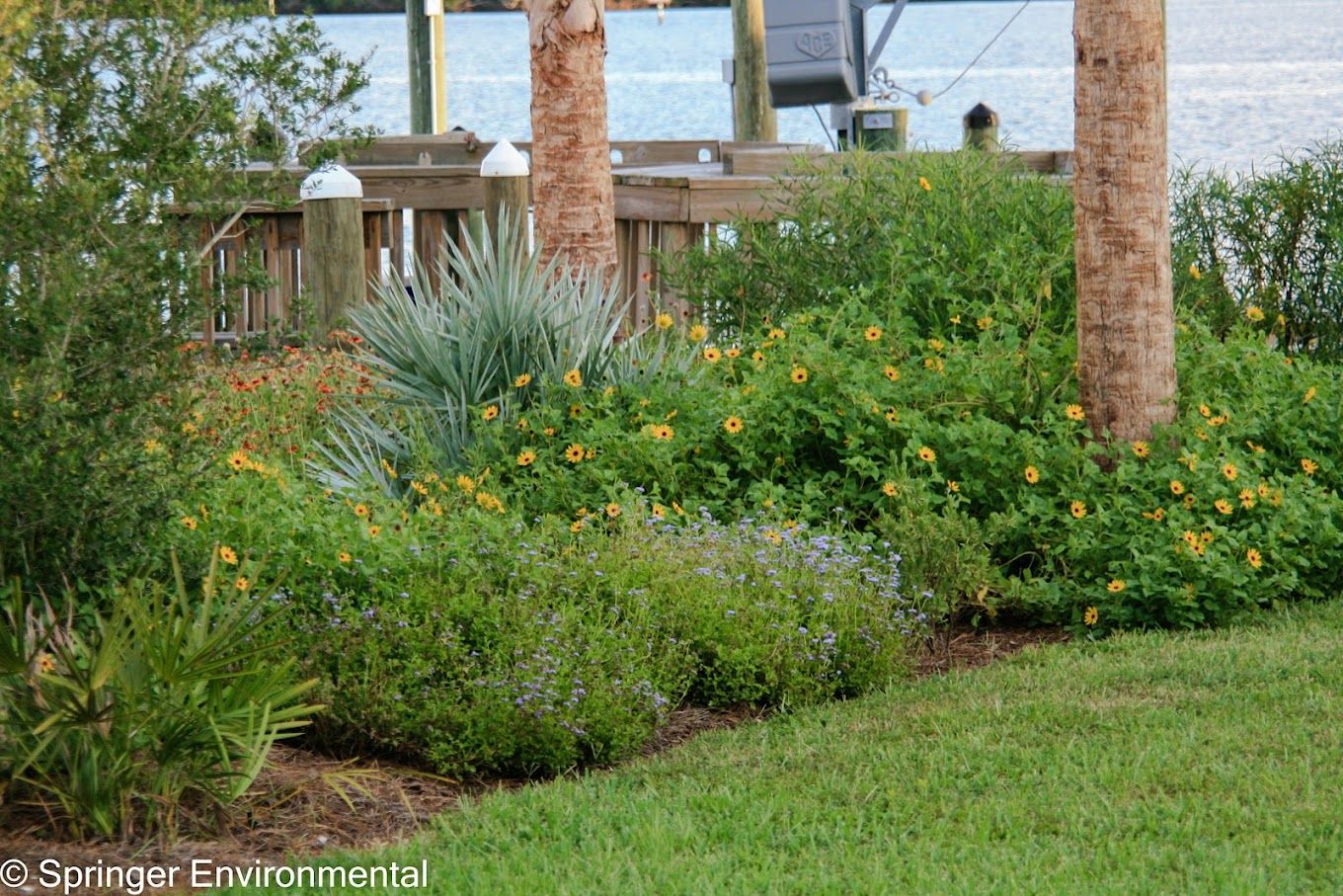 Landscape Design and Installation | Wildscape Designs
