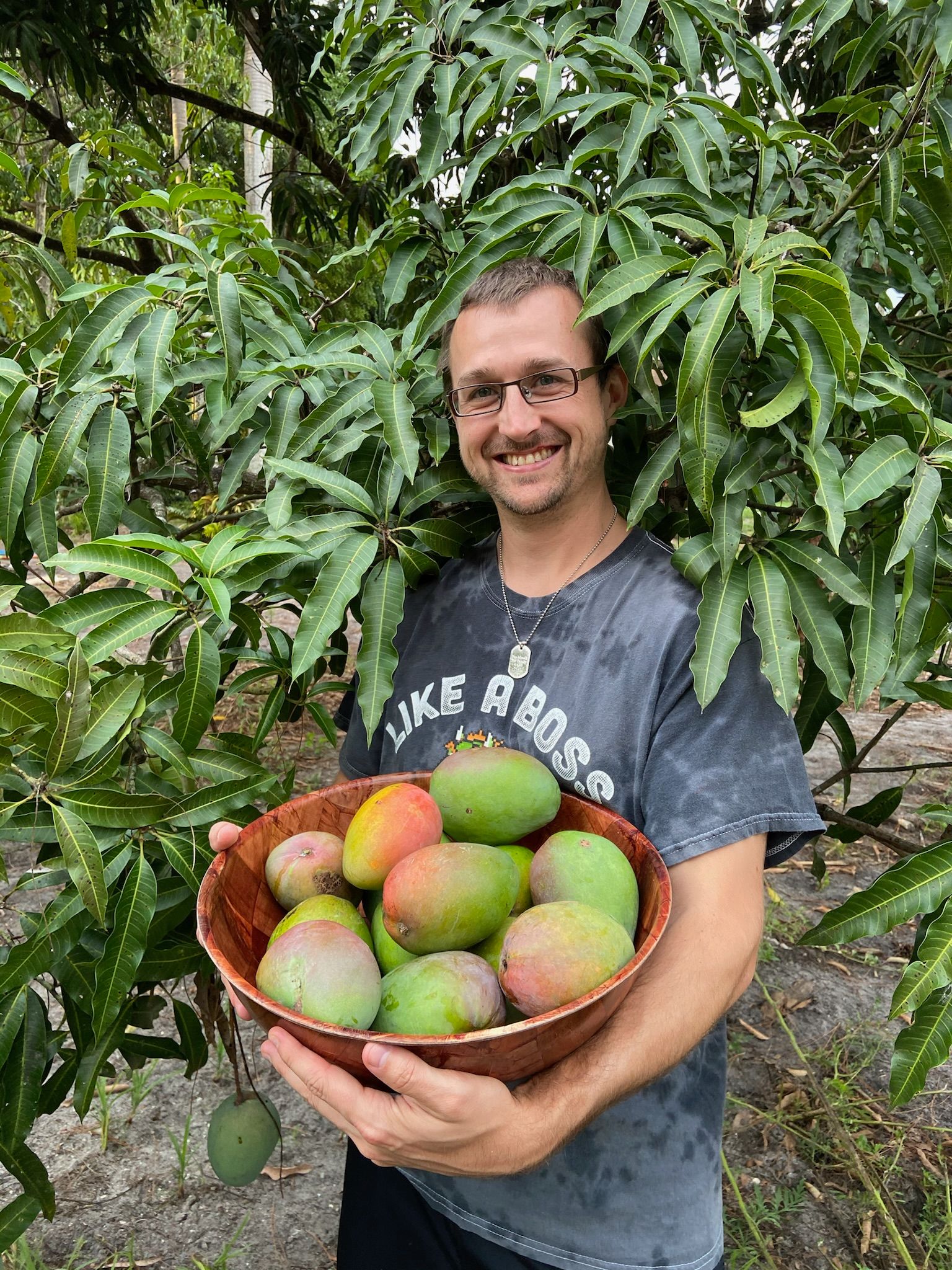 Landscape Design and Installation | Wildscape Designs