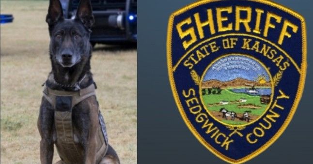 Give Blue Hope Honor Gallery of fallen officers and first responders