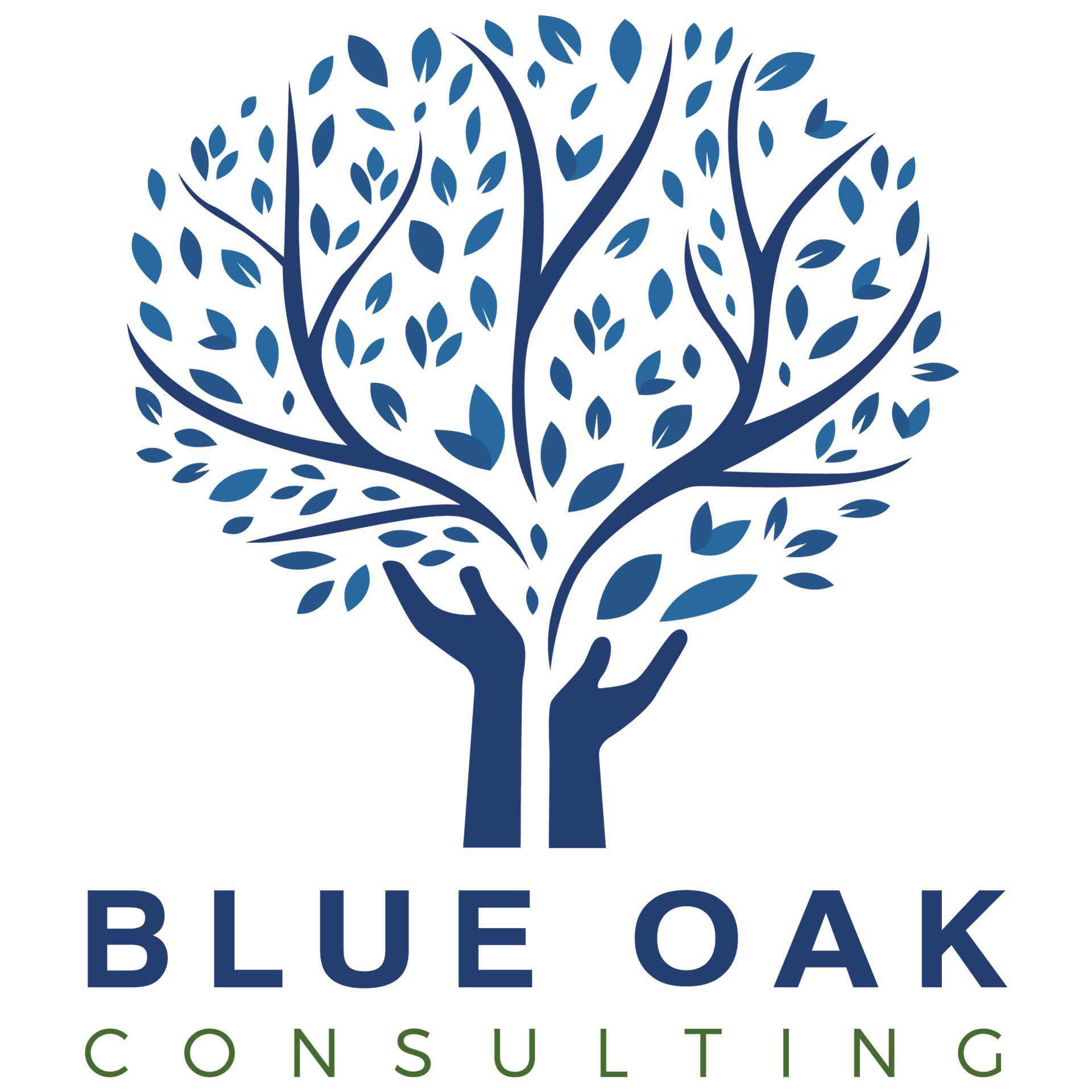 Blue Oak Consulting LLC - Home