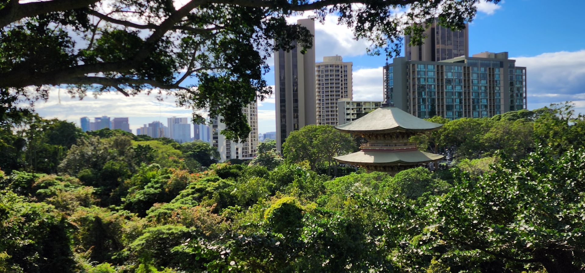 Aloha Eats: Hi.Shack Now Open at Waikiki Beachside Hostel!