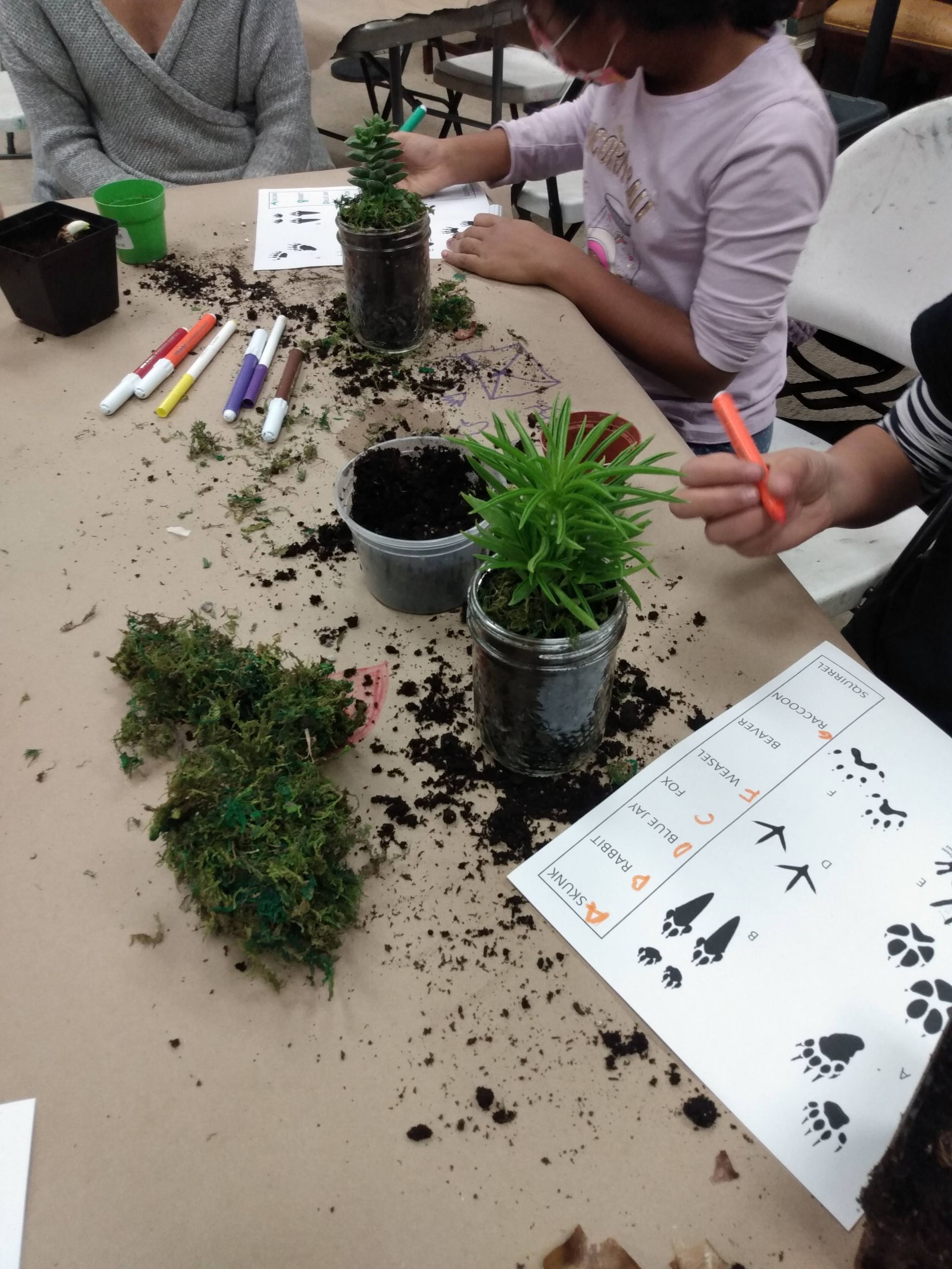 Kids Pollinator Garden: Engage, Educate and Empower | Parklane Landscapes