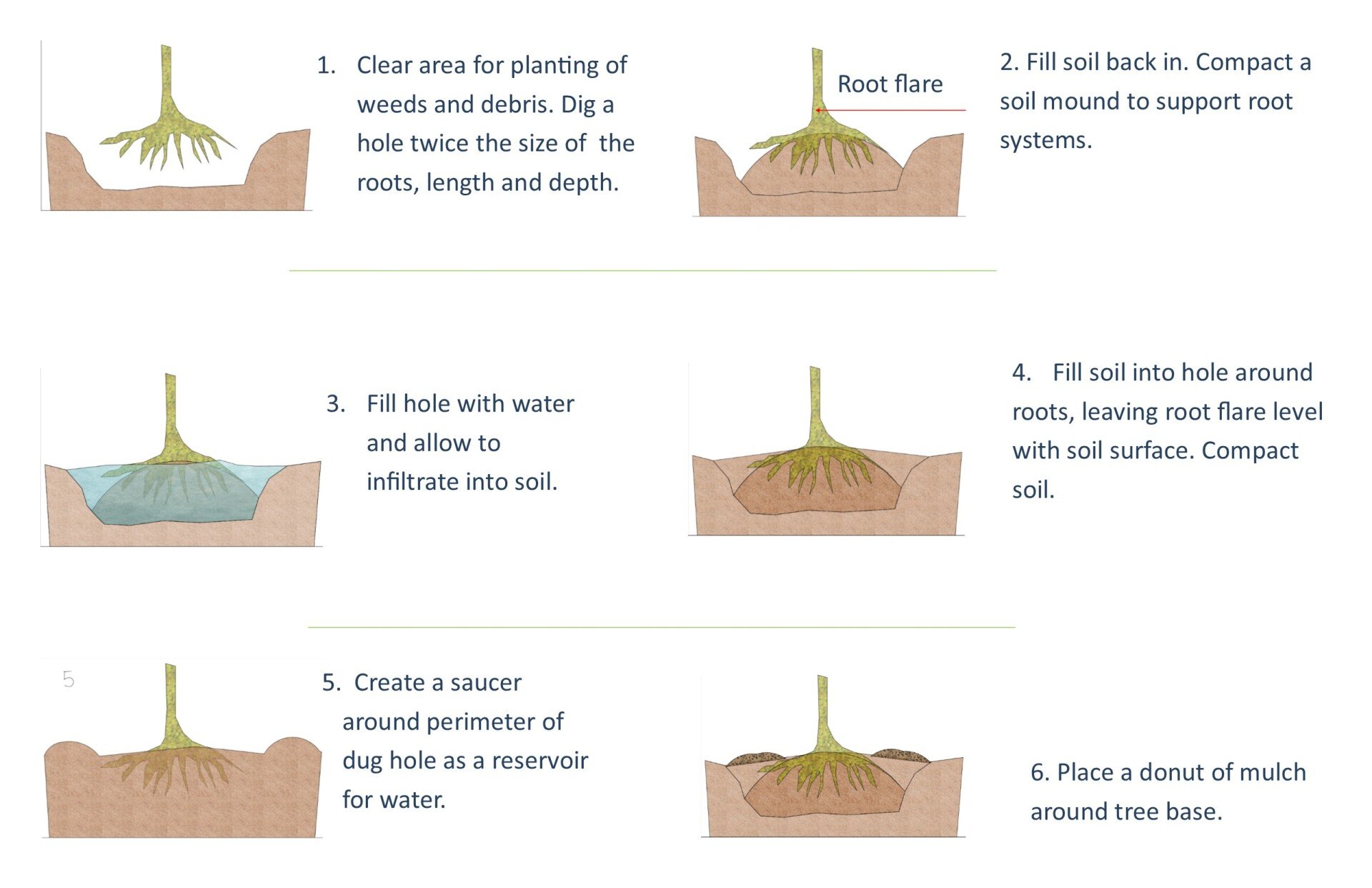 Shoreline Greening Project | Parklane Landscapes