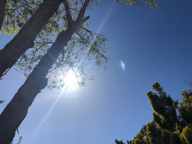 The Science of the Dark and Light Seasons in Nyungar Culture