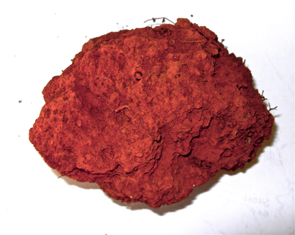 Ochre: an ancient health-giving cosmetic