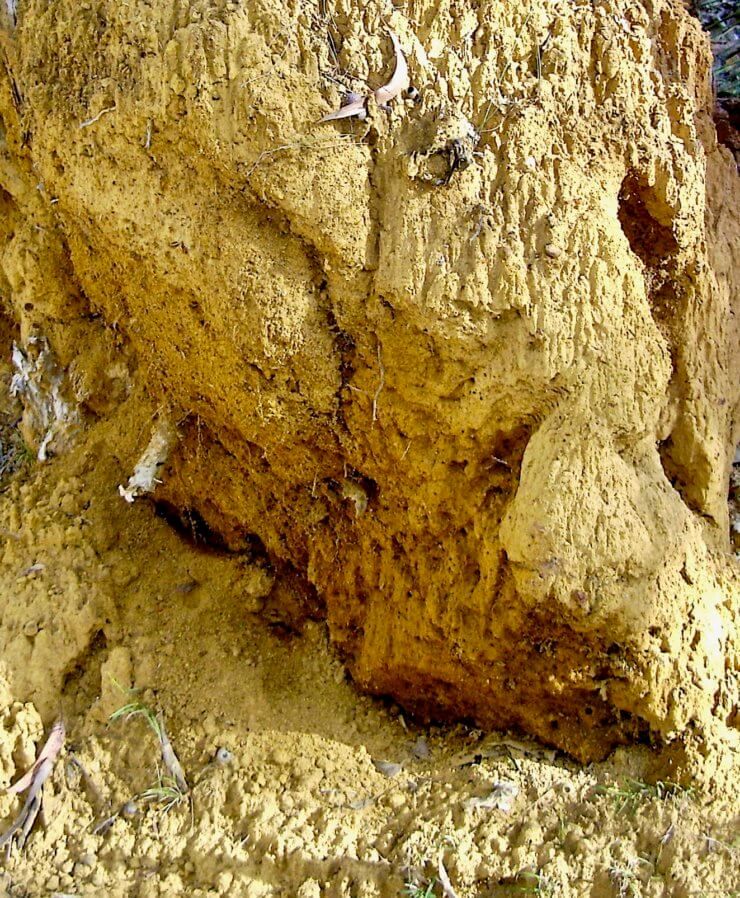 Ochre: an ancient health-giving cosmetic