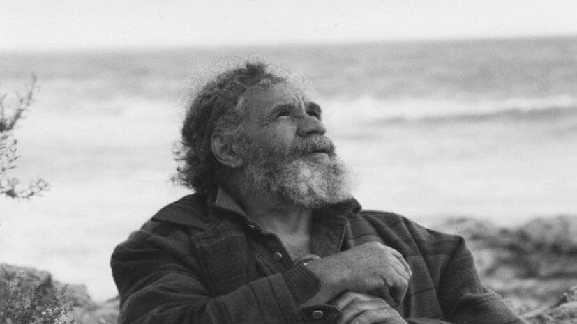 The Shark in Nyungar Culture