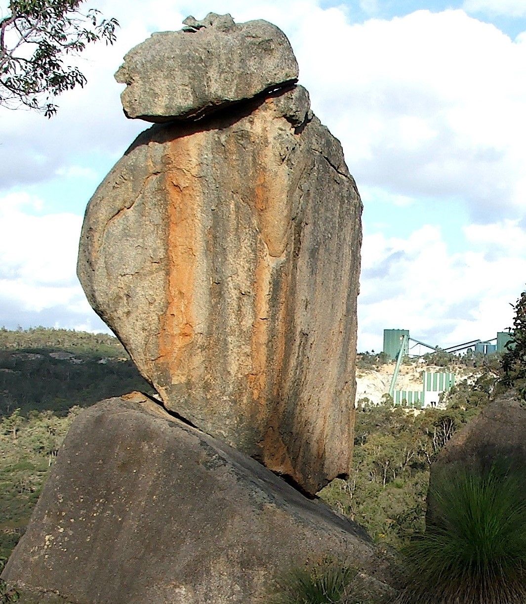 Anthropology from the Shed