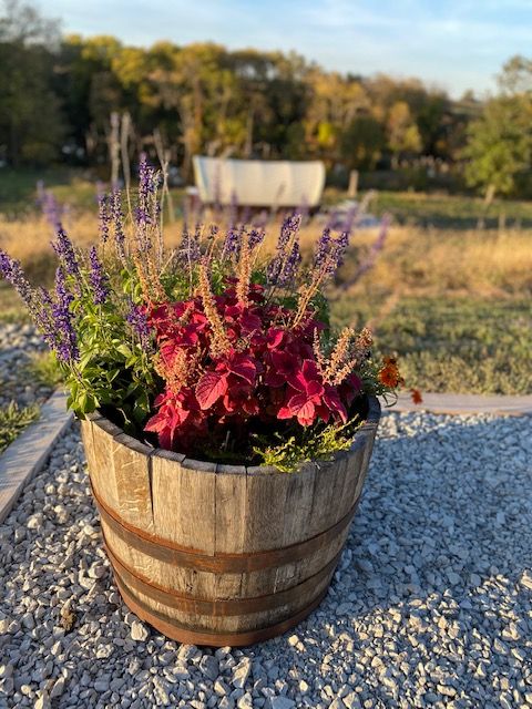 Best Nest Farm Glamping - Experience Nature in Luxury
