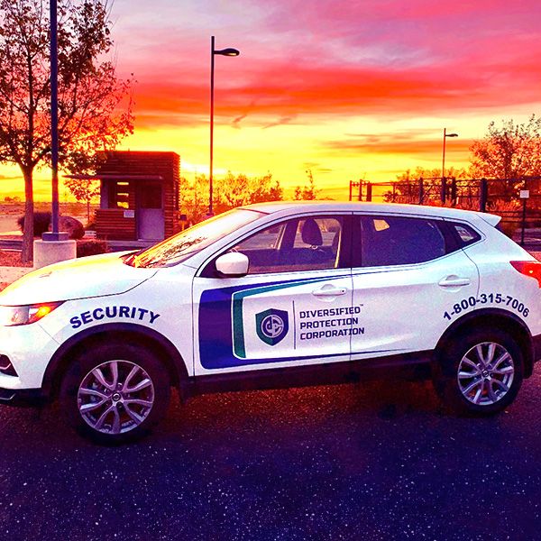 Diversified Protection Corporation