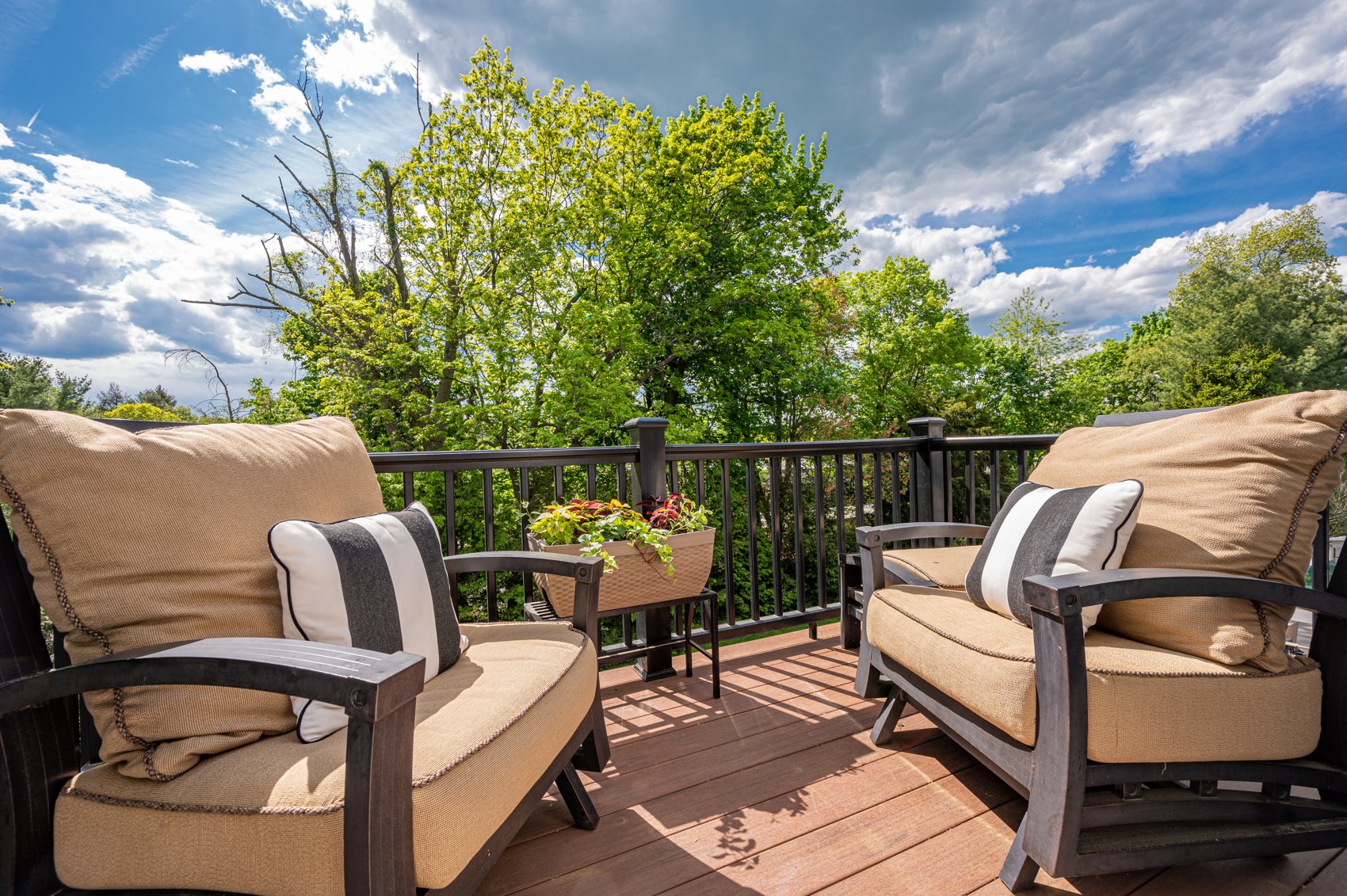 Our Portfolio | Susan Corvo Redesign | Fairfield County, CT