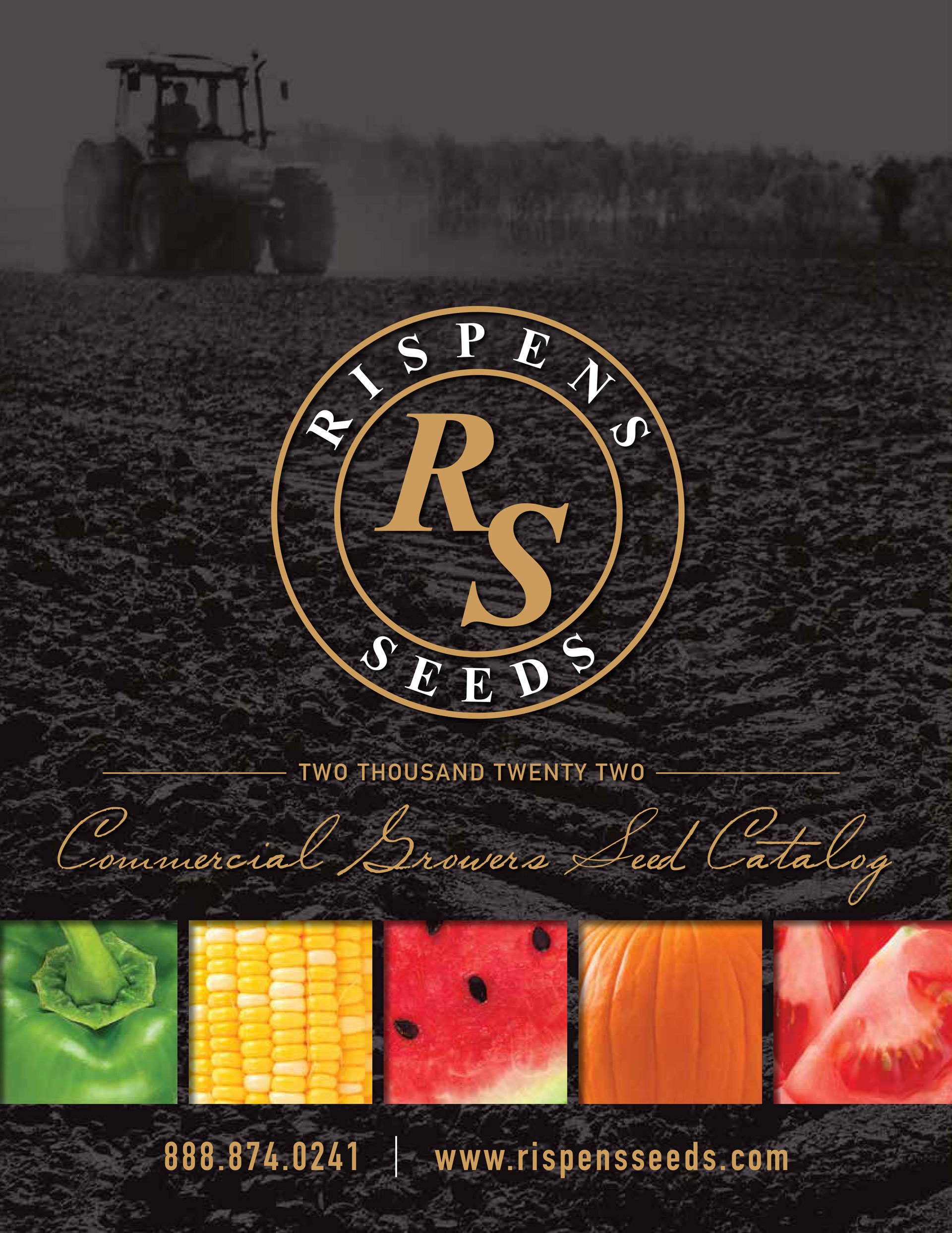 Commercial Seed Supply | Beecher, IL | Rispens Seeds