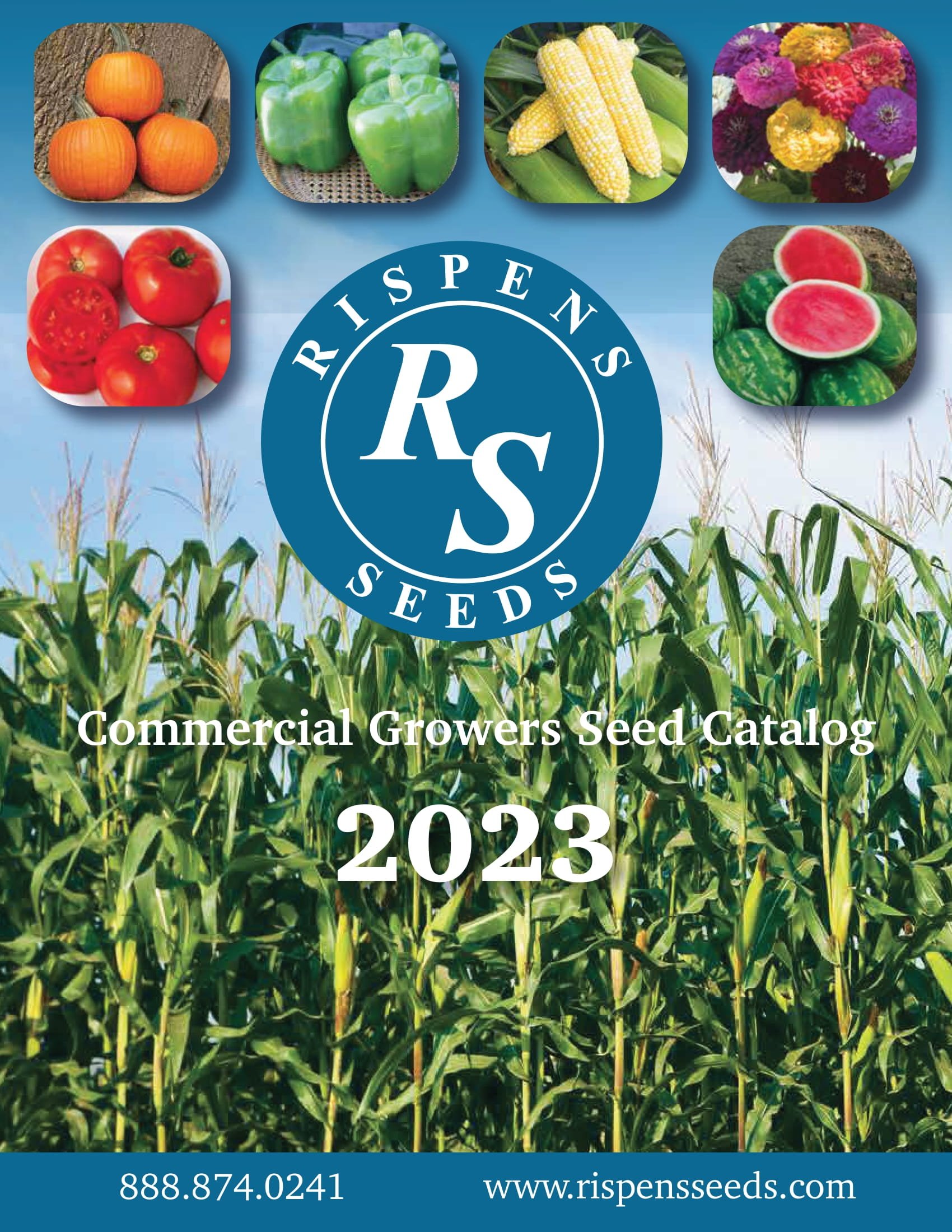 Commercial Seed Supply | Beecher, IL | Rispens Seeds