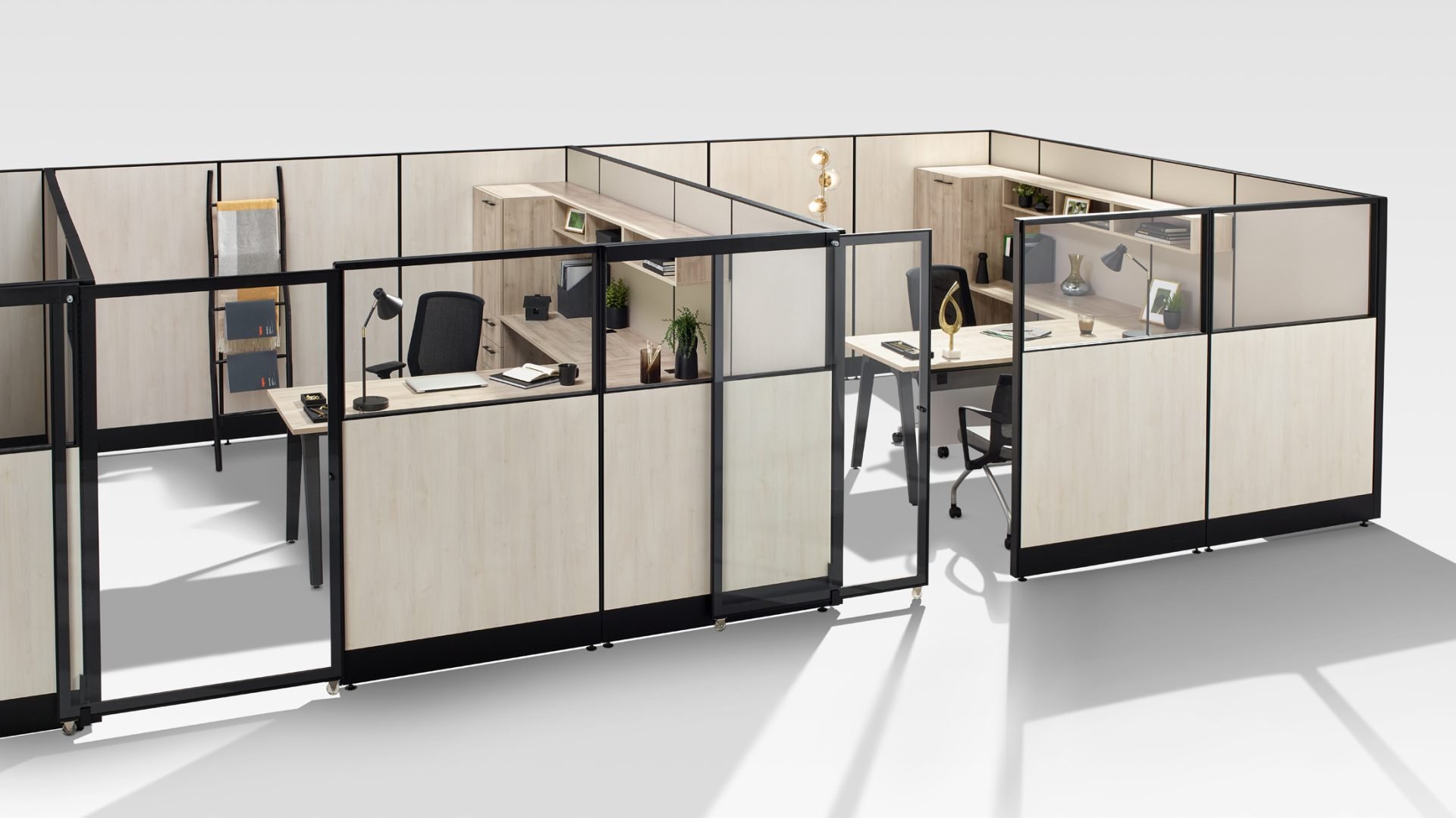 Focus | Our products