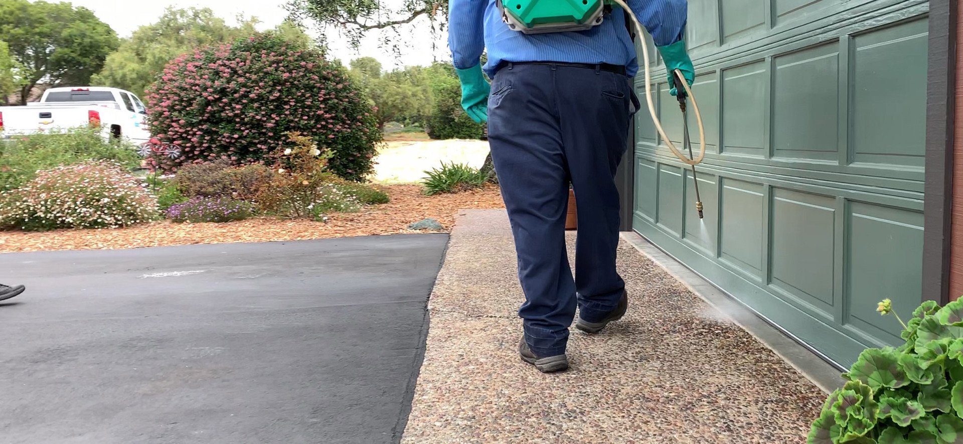 Photos | Salinas, CA | Gavilan Pest Control