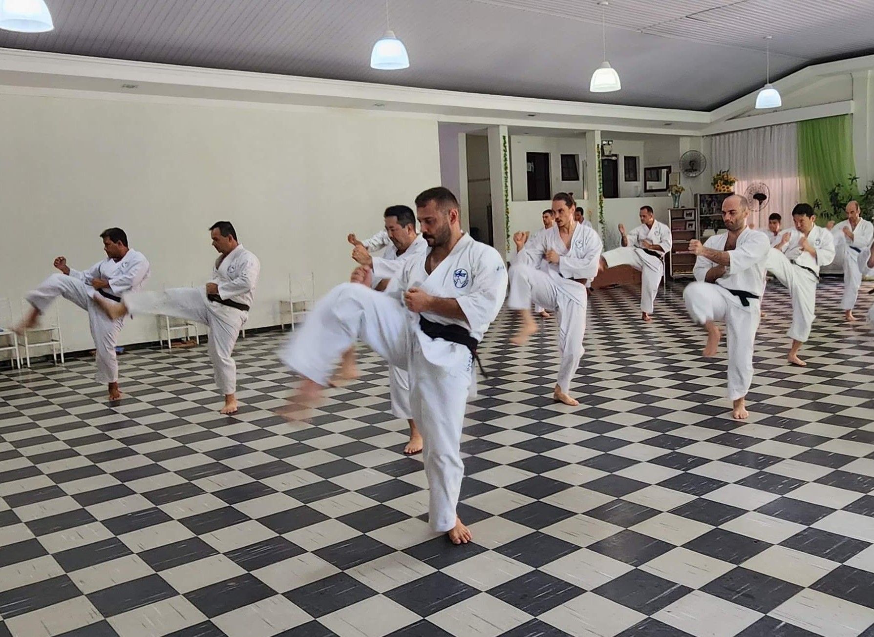 Wado-Ryu Karate-Do | Dojimon