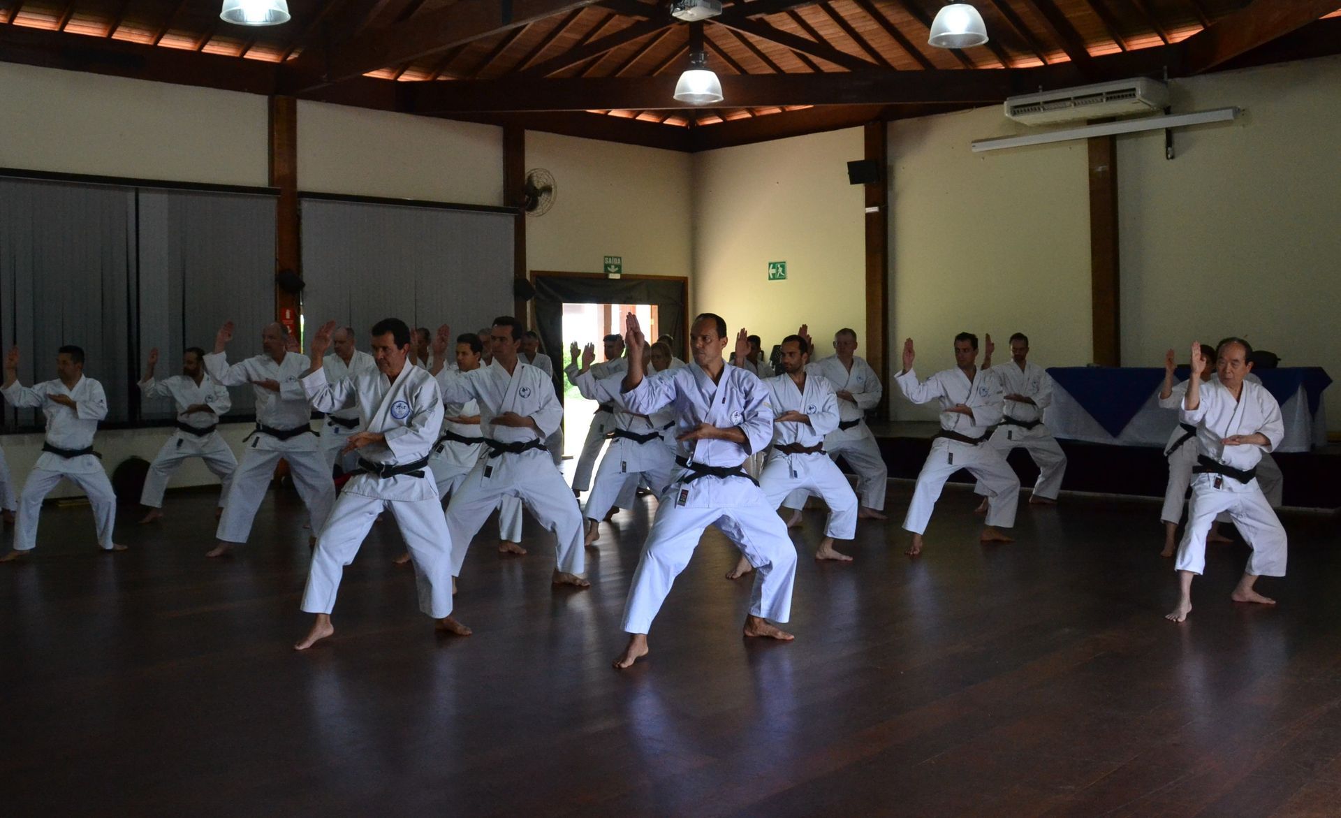 Wado-Ryu Karate-Do | Dojimon