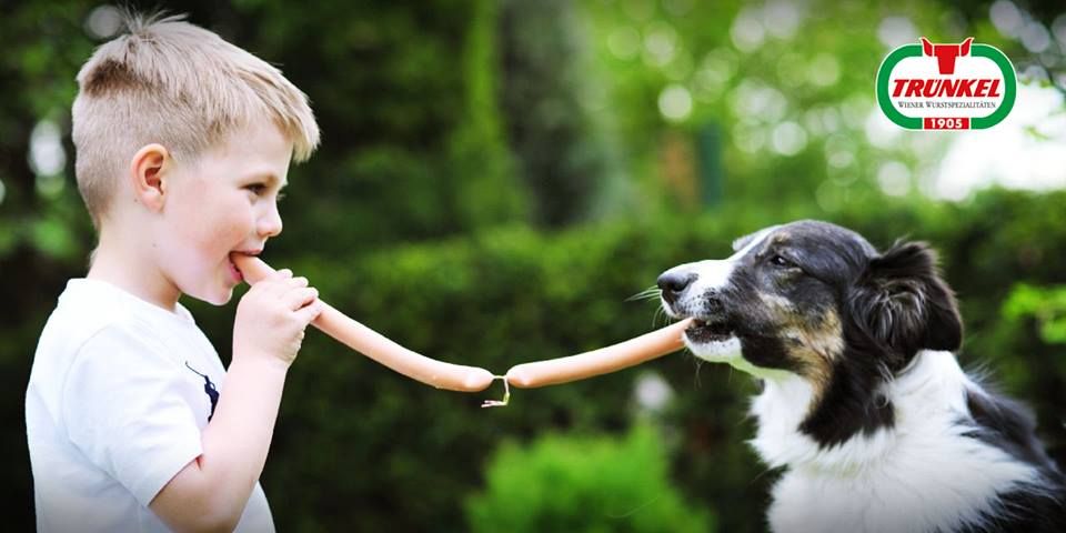 Über uns und die Geschichte der Trünkel GmbH in Wien
