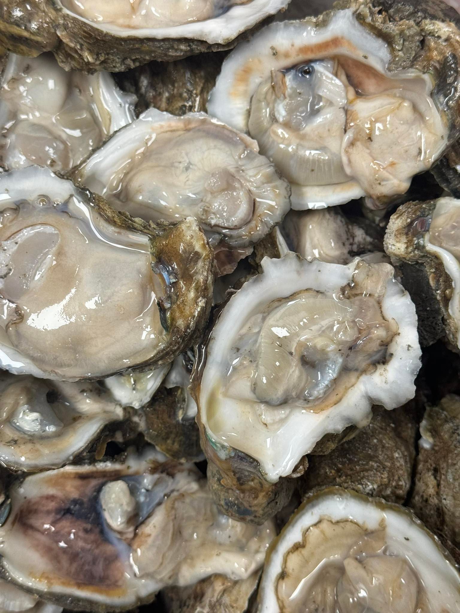 Gallery | Costa Azul Manassas