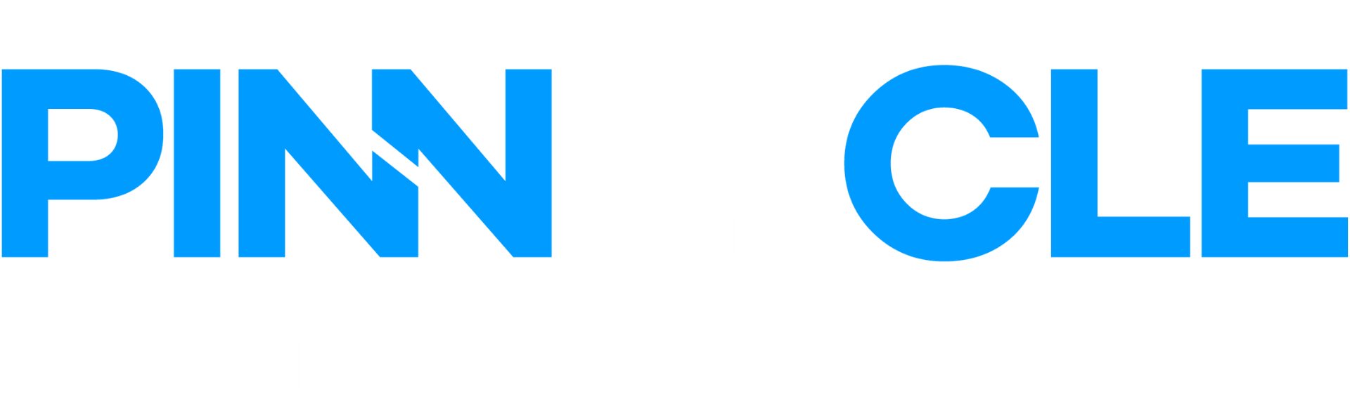 Pinnacle Technologies | SEO | Lead Gen | Google Ads | Growth