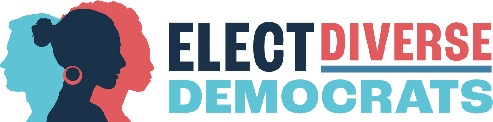 BOLD PAC Launches “Elect Diverse Democrats” to Protect the Voting ...